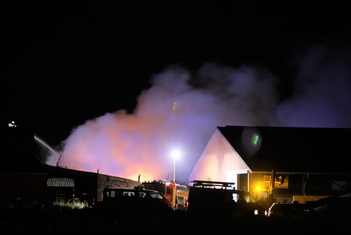 35 varkens overleven grote stalbrand in Noordschote niet, brandweer uren bezig - KW.be