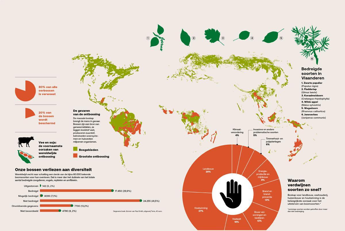 De frontlijnen van de ontbossing