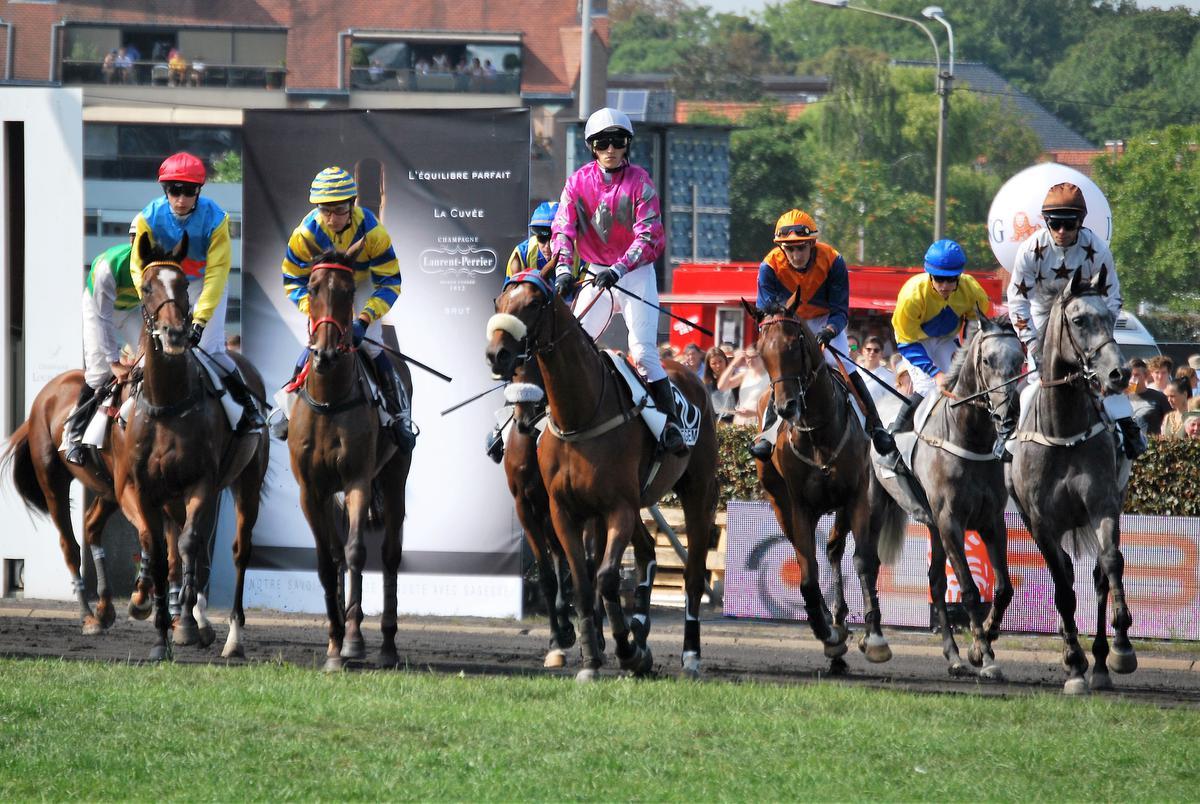 Imposant en gevarieerd programma kleurt 175ste verjaardag van Waregem Koerse - KW.be