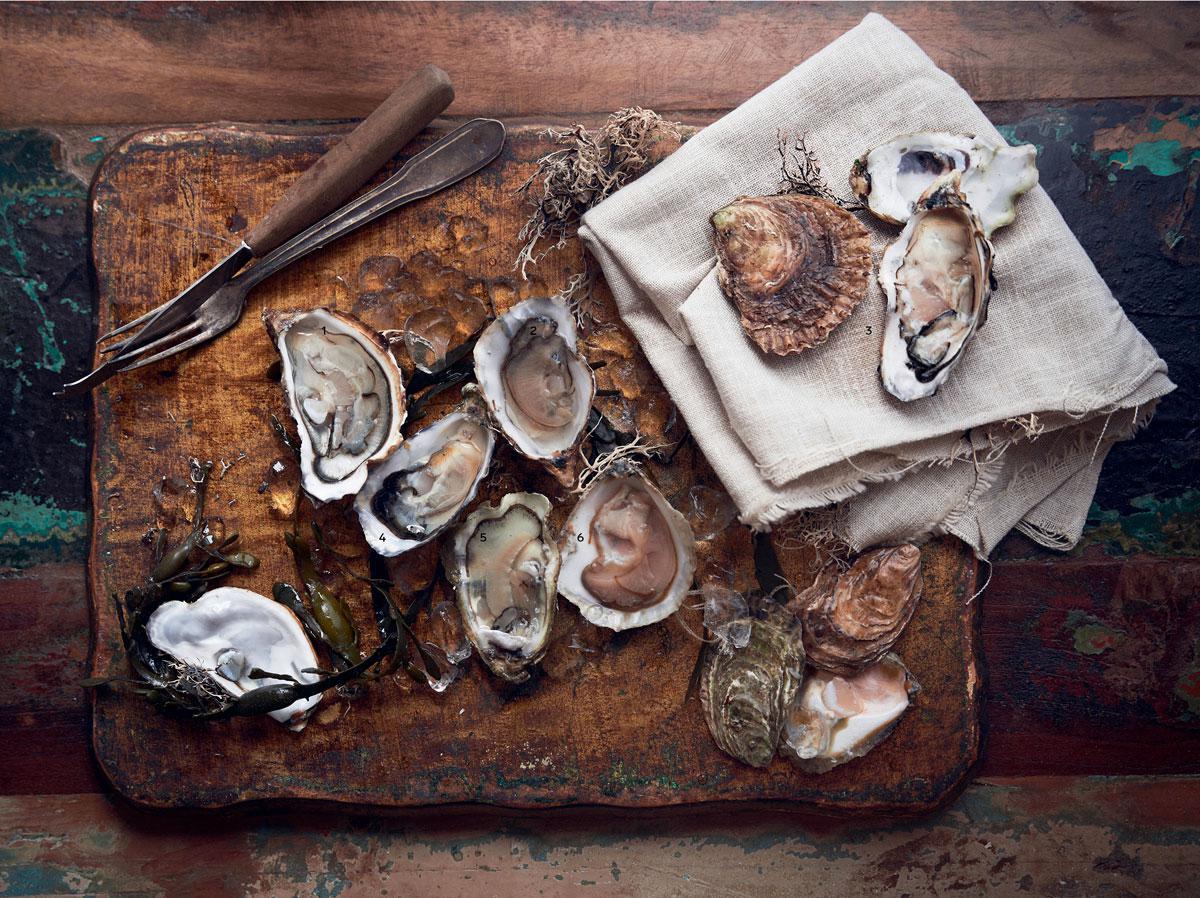 Van Grevelingen Creuse tot Zeeuwse platte: een kleine selectie oesters ...