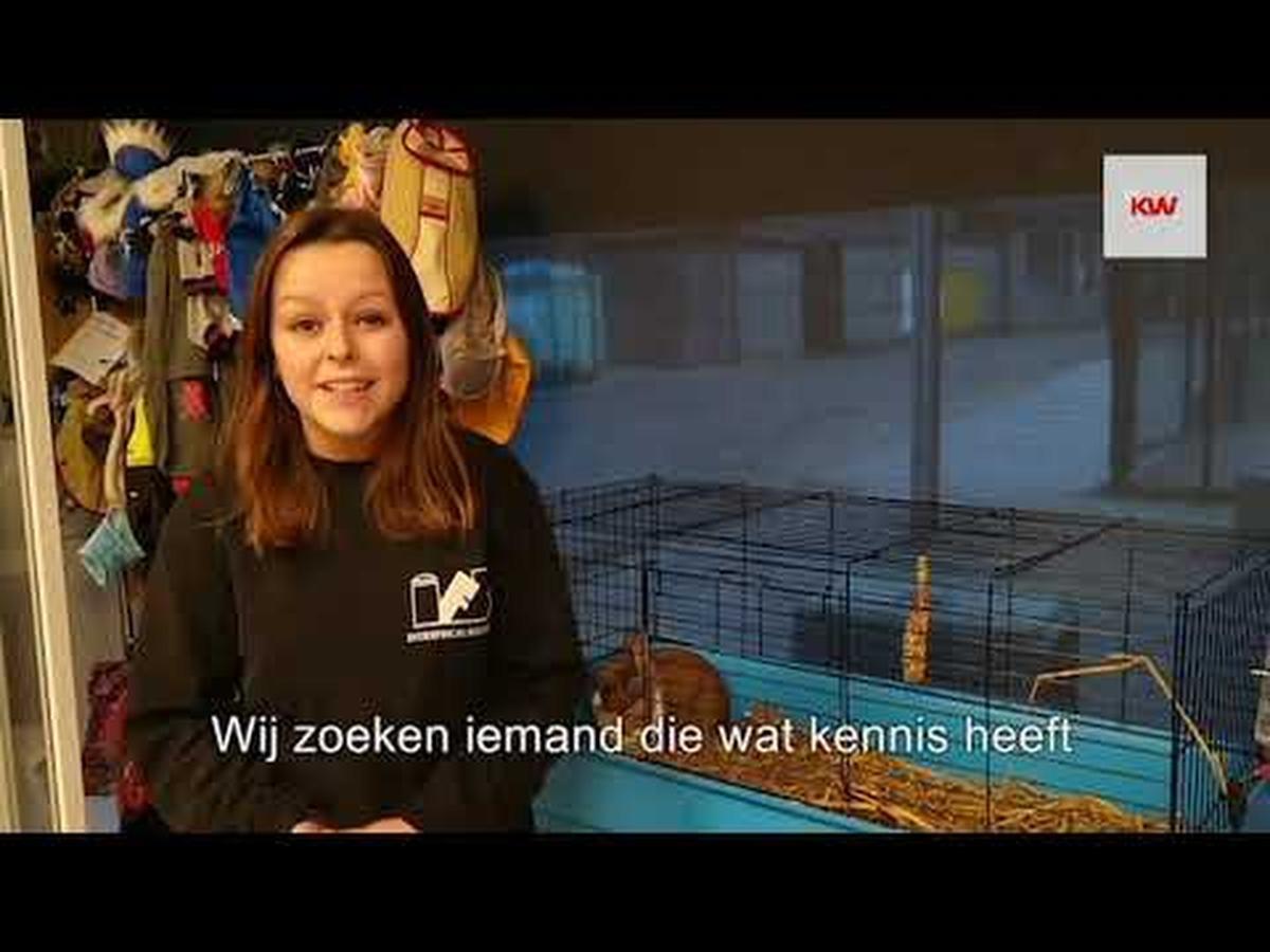 Beestje zoekt Baasje - Wolleke - KW.be
