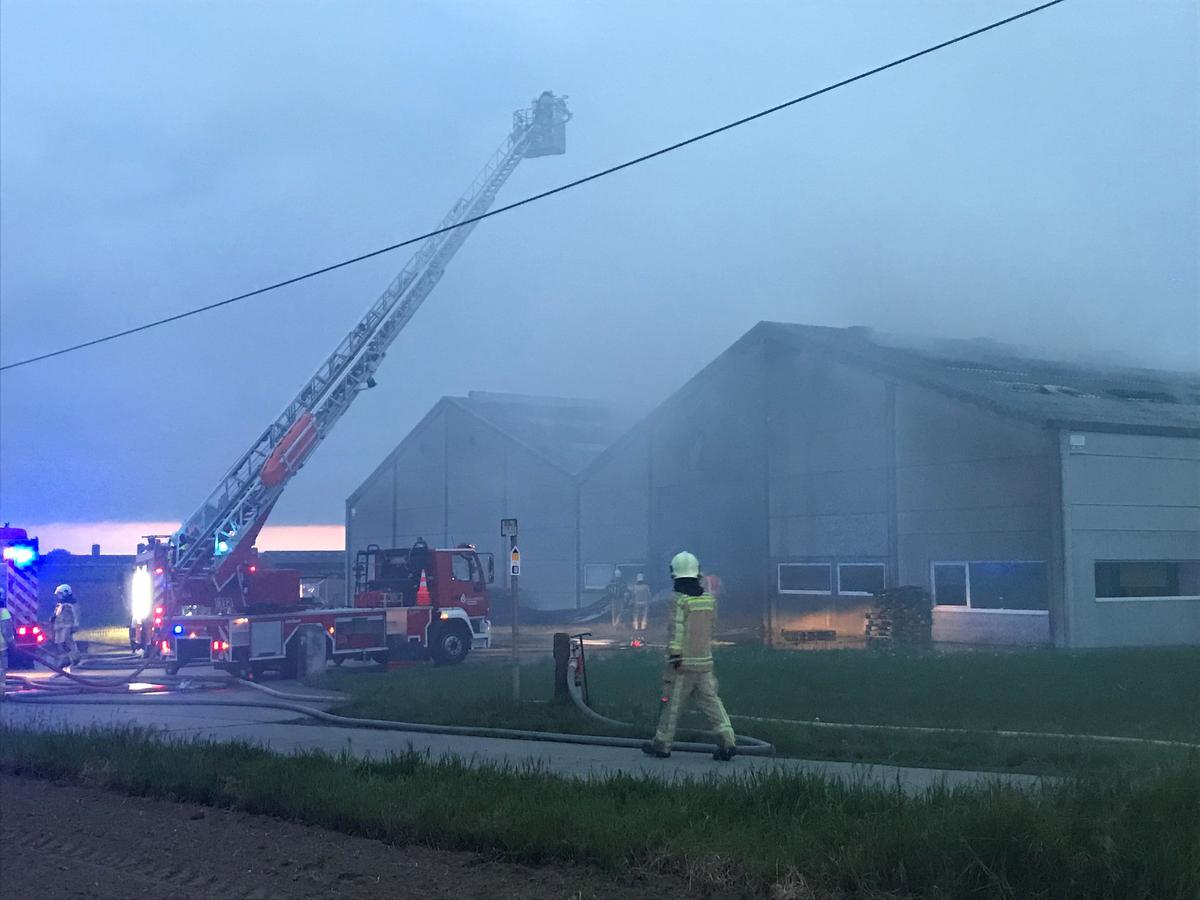 Uitslaande loodsbrand in Lo-Reninge kost het leven aan verschillende ...