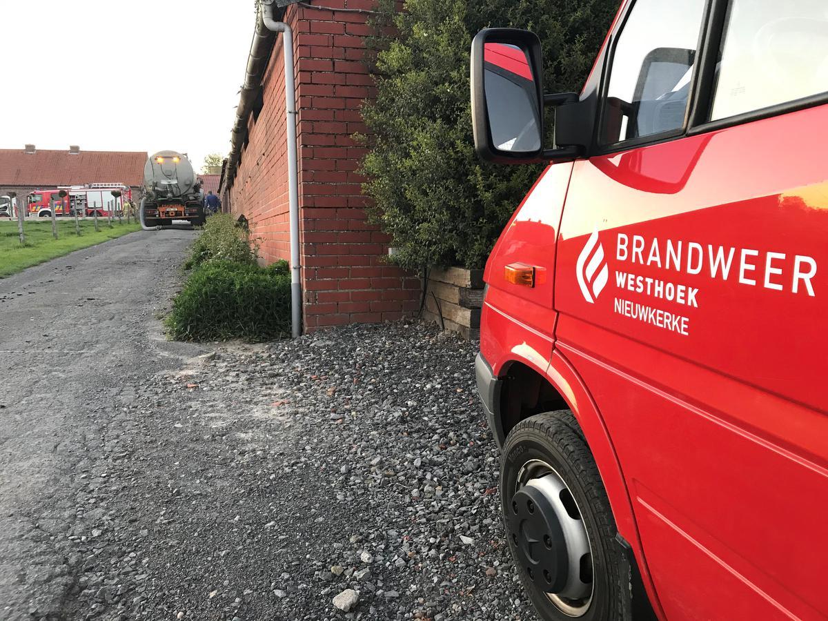 Brandweer rukt uit om zes varkens te redden in Nieuwkerke - KW.be