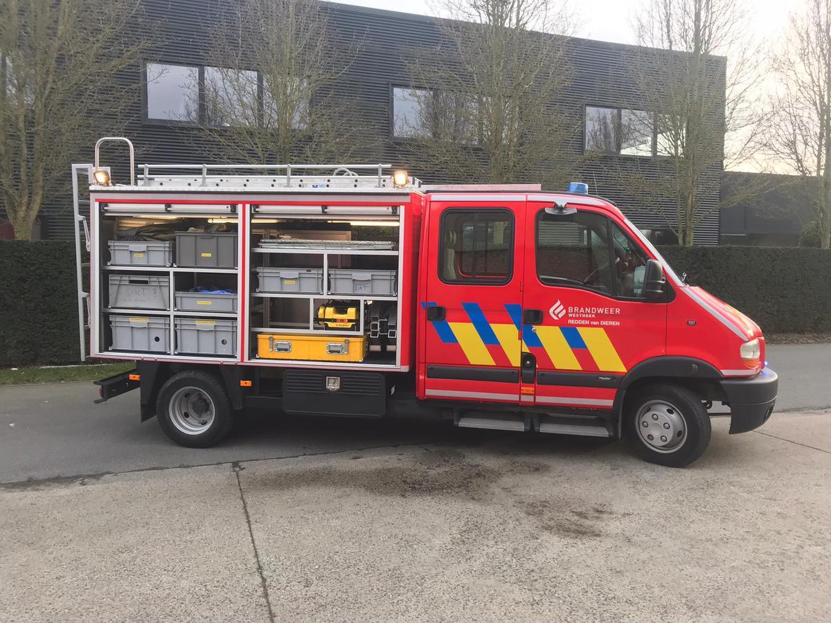 Brandweer kan vier varkens redden uit aalput in Klerken, acht dieren overleven het niet - KW.be