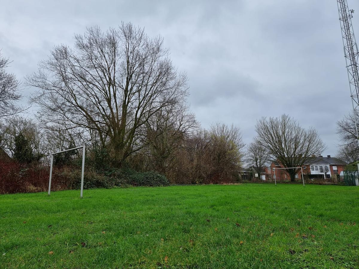 Laat ons wat groen - KW.be