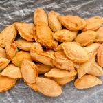 FAUT QU'ON SE BOUGE: utilisez vos noyaux de fruits pour faire pousser ...