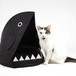 Rendez votre chat héroïque en lui offrant cette gueule de requin