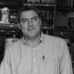 Mark Dom, Auteur bij Knack