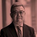 Feng Wang, Auteur bij Knack