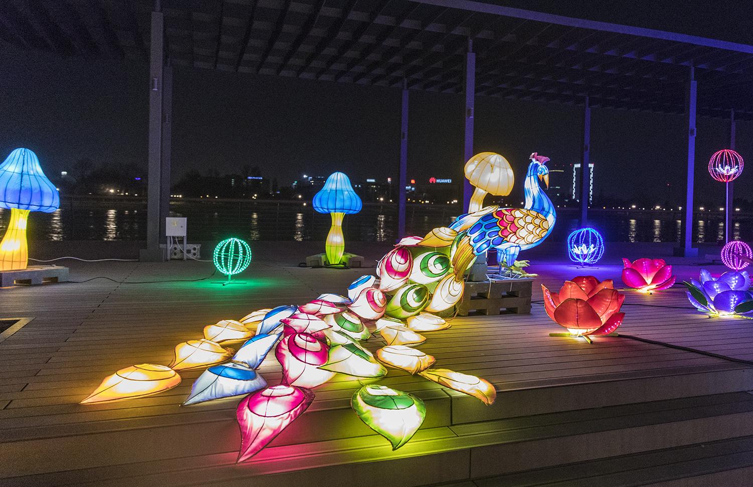 Un festival des Lumières prendra place dans les zoos d'Anvers et de ...