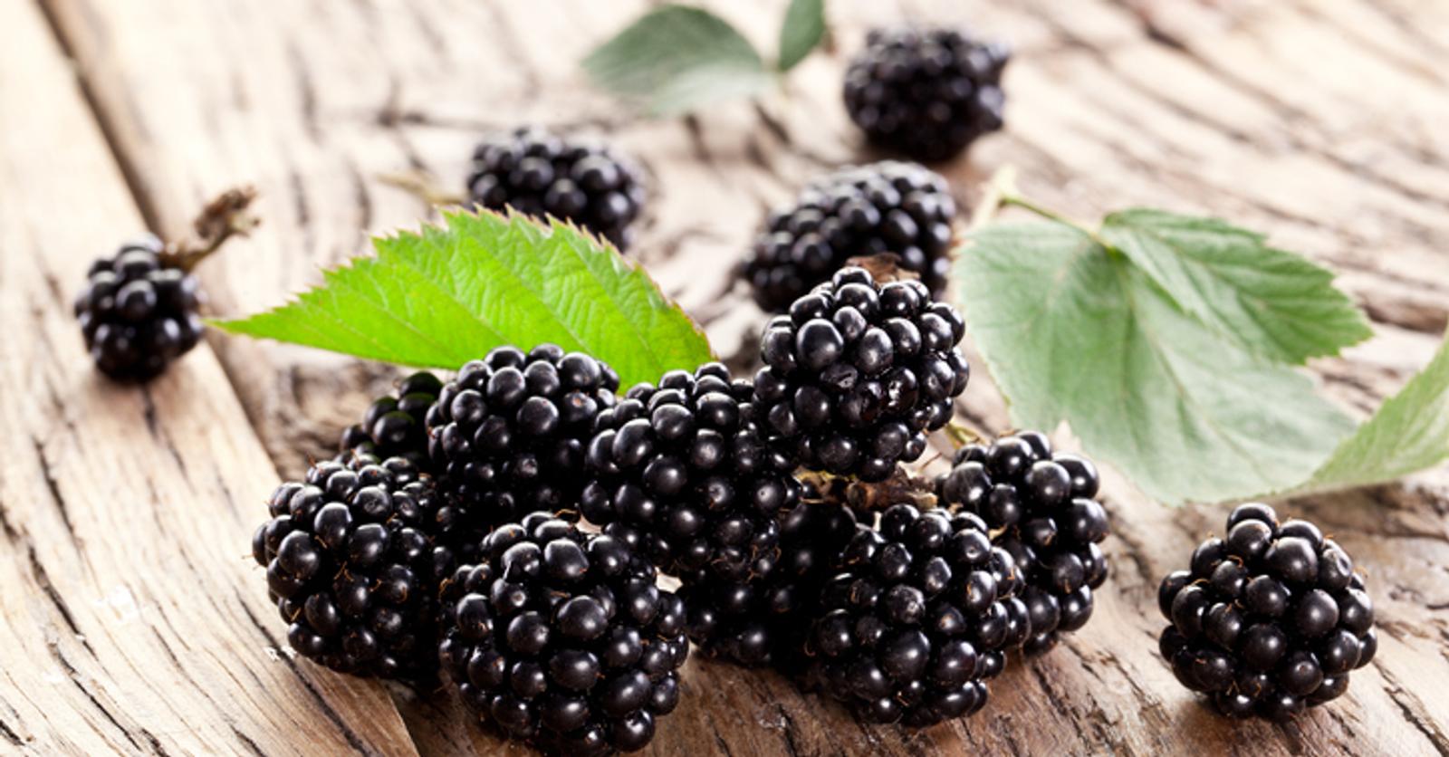 Genieten van seizoensfruit: 15 recepten met bramen - Libelle