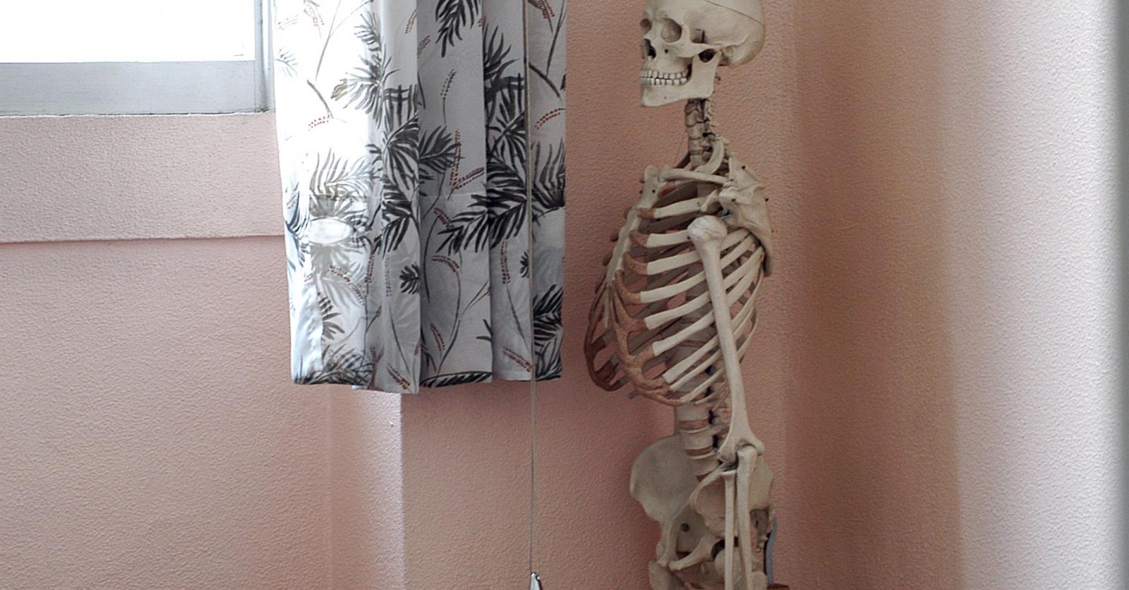 Après un flop à Liège, le Palais des Congrès de Mons dénonce l'expo ...