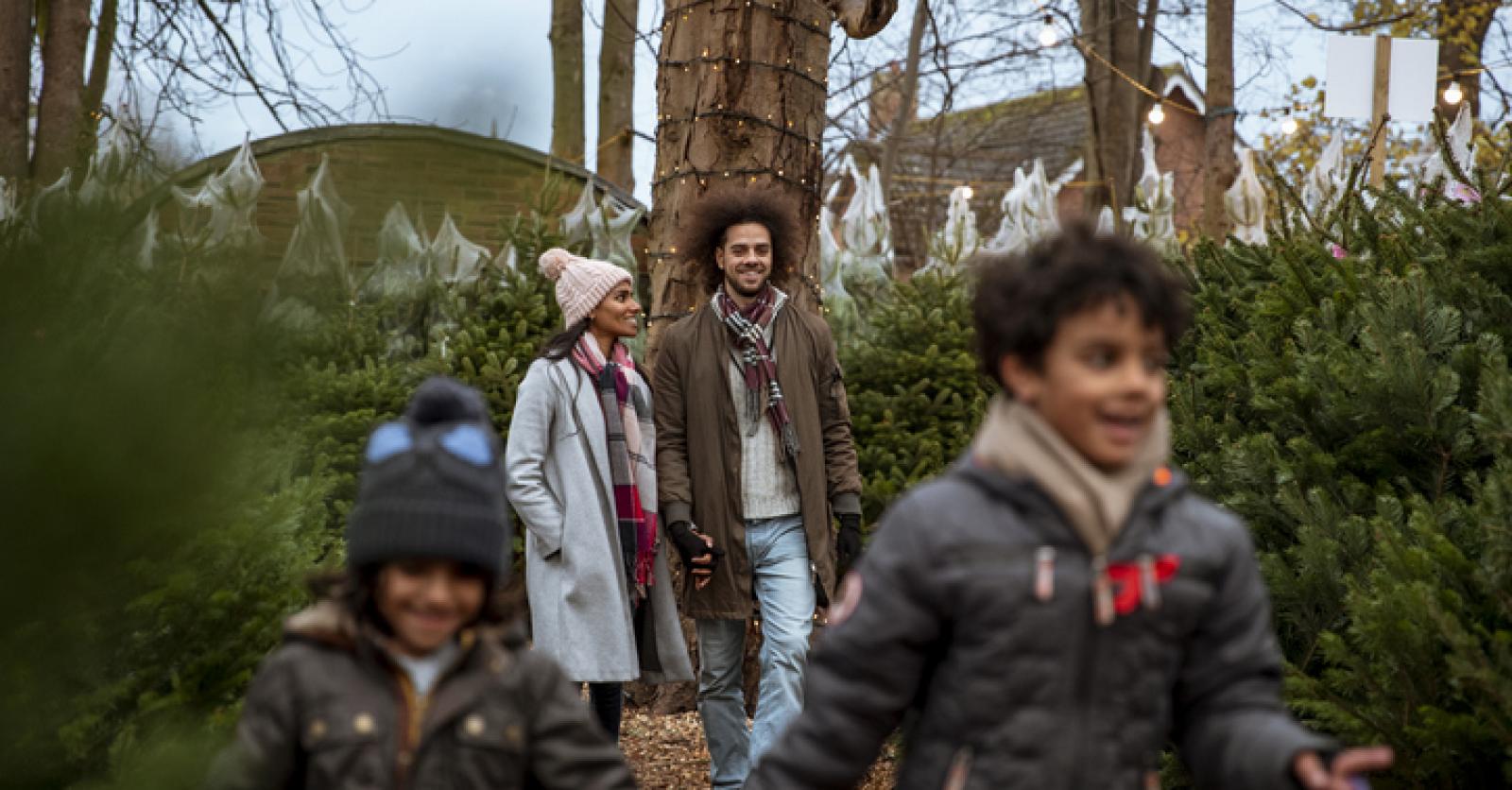 Daguitstapjes tijdens de kerstvakantie: cool voor de kids - Libelle Mama