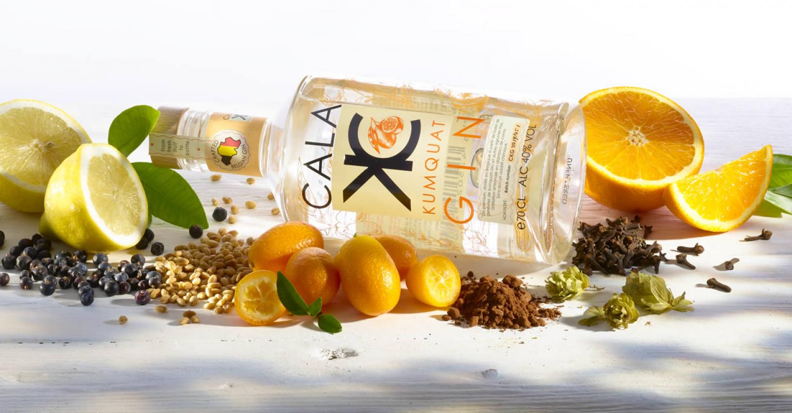 9 délicieux gins belges parfaits pour un cocktail estival