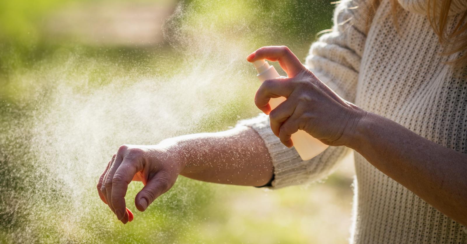 Insectenbeet? Zo herken, behandel en vermijd je ze - Libelle