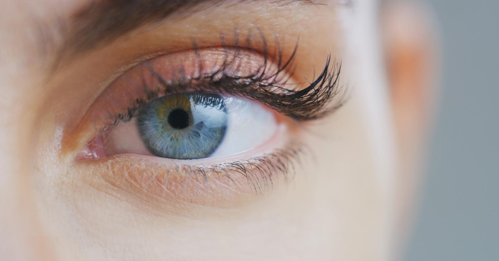 Wow wimpers: wat moet je weten over de wimperlift (of lash lift)? - Libelle