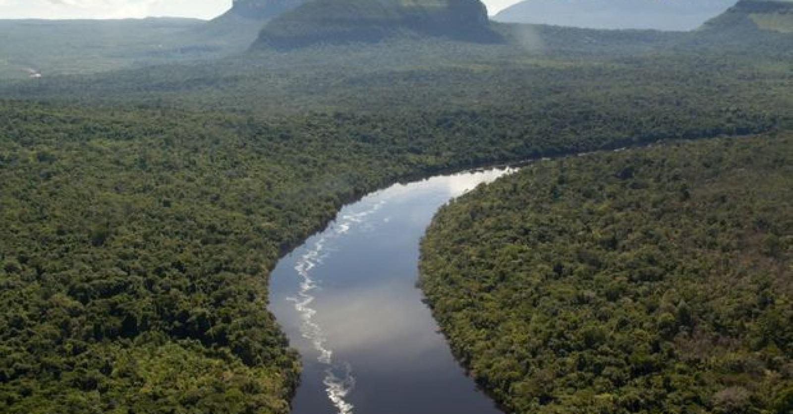 20 opmerkelijke feiten over het Amazone regenwoud