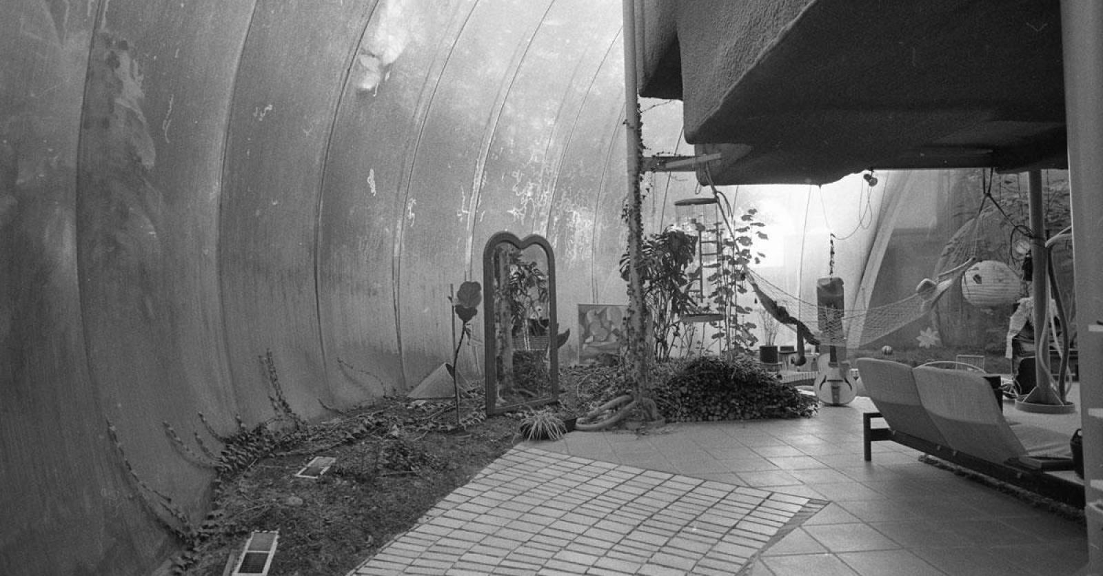 A.J. Lode Janssens - A Balloon Home