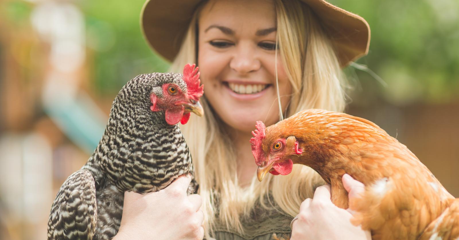 Kippen houden? Dit zijn goede rassen - Libelle