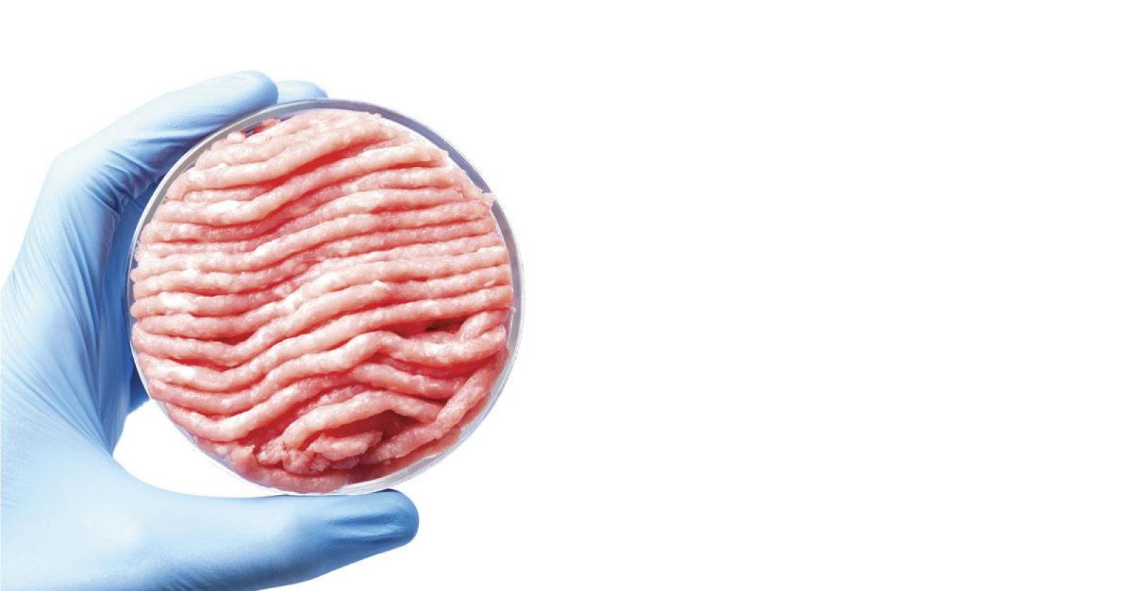 Voedingsindustrie: waarom de grote doorbraak van kweekvlees uitblijft