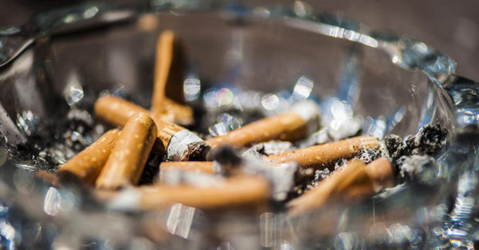 'Het lot van de neutrale verpakkingen voor sigaretten ligt in handen ...