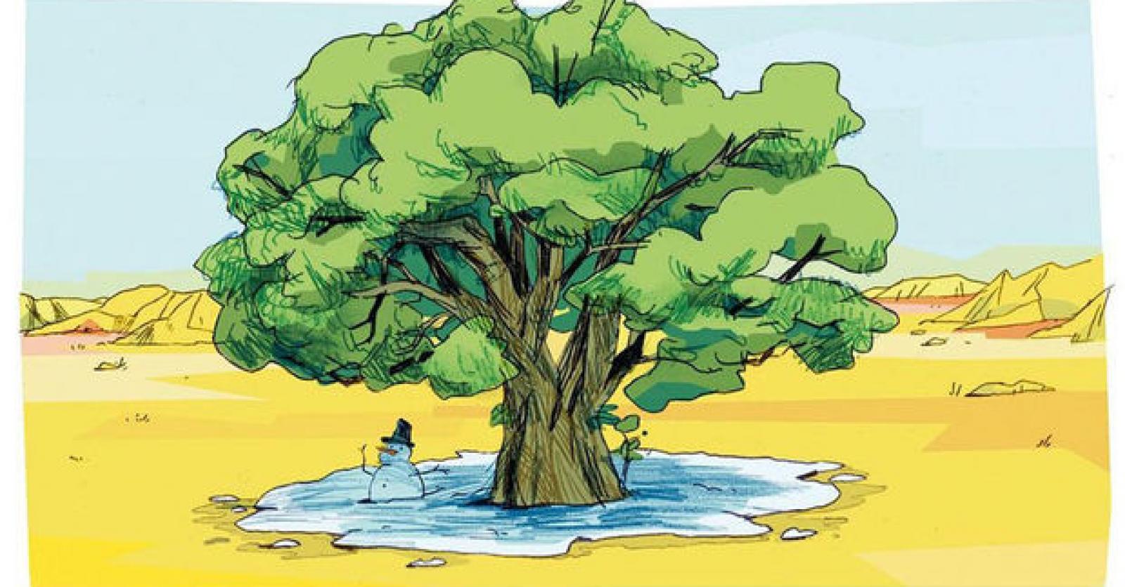 Factcheck: 'Een boom heeft een koelvermogen dat overeenkomt met ...