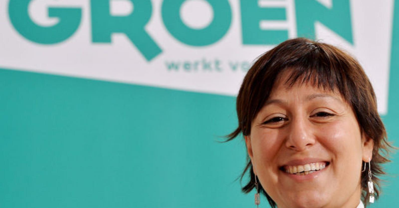 Naar een federale ecologische partij met Groen en Ecolo?