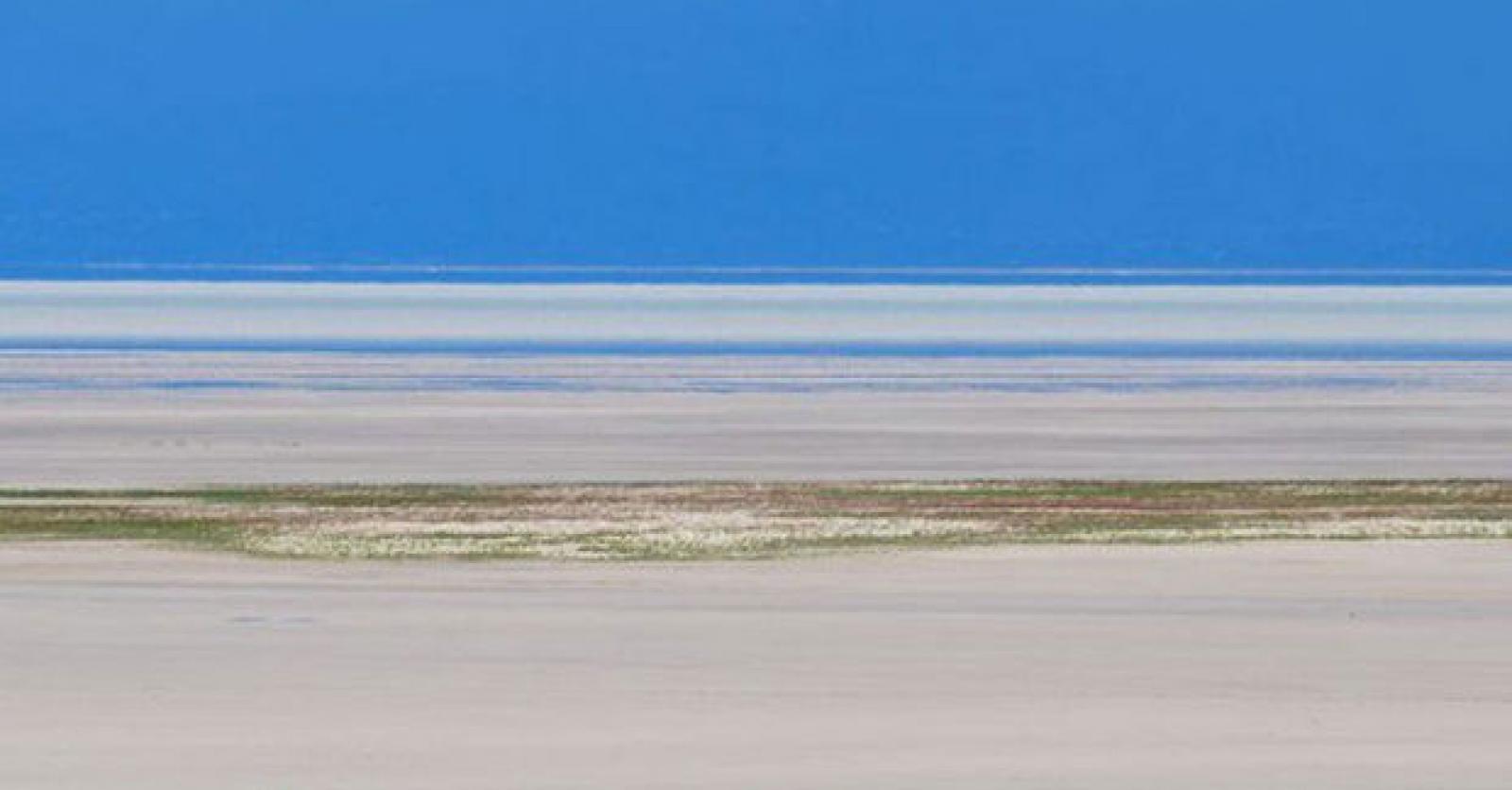 Aarde plat of rond? Complottheorieën komen altijd uit