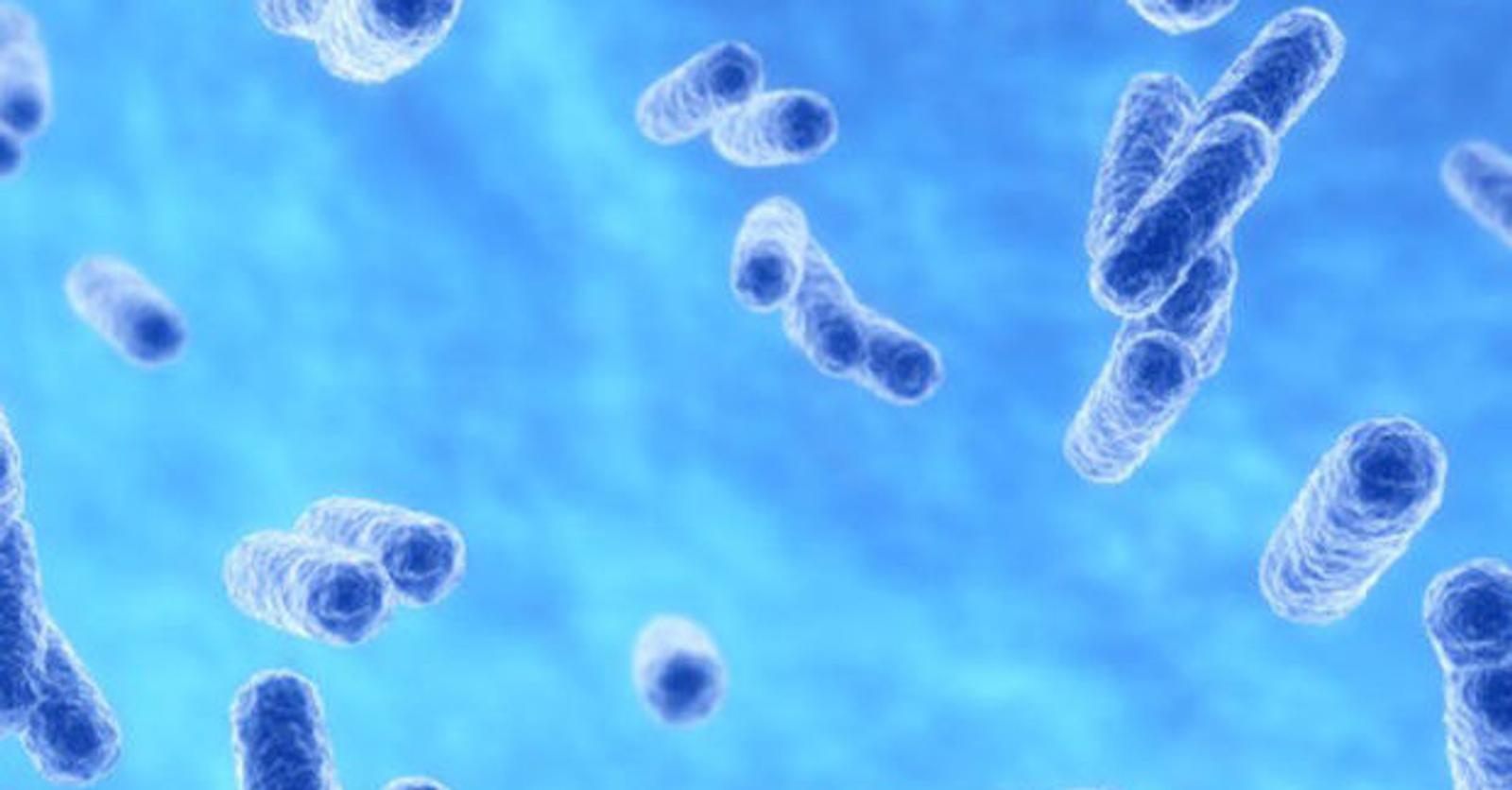 Bacteriën maken hun eigen antibiotica