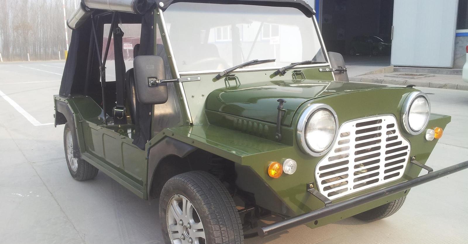 Elektrische Mini Moke