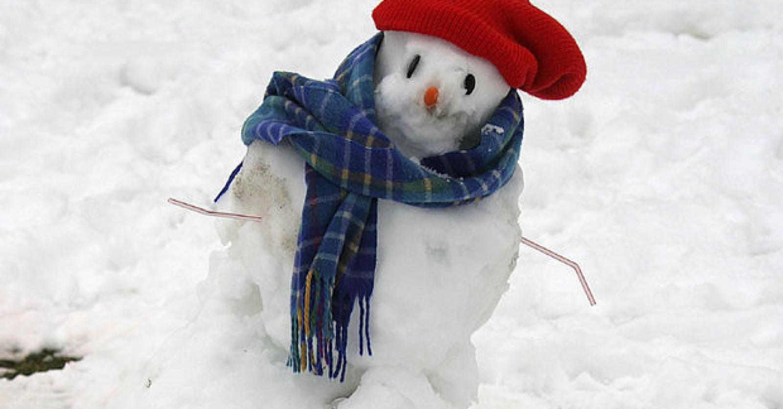 Waarom de Schotten 421 woorden voor 'sneeuw' hebben