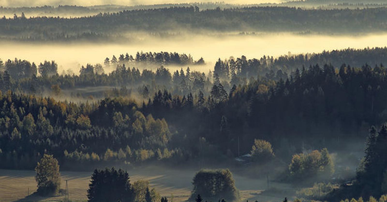 De geluiden van de natuur zijn steeds moeilijker te horen