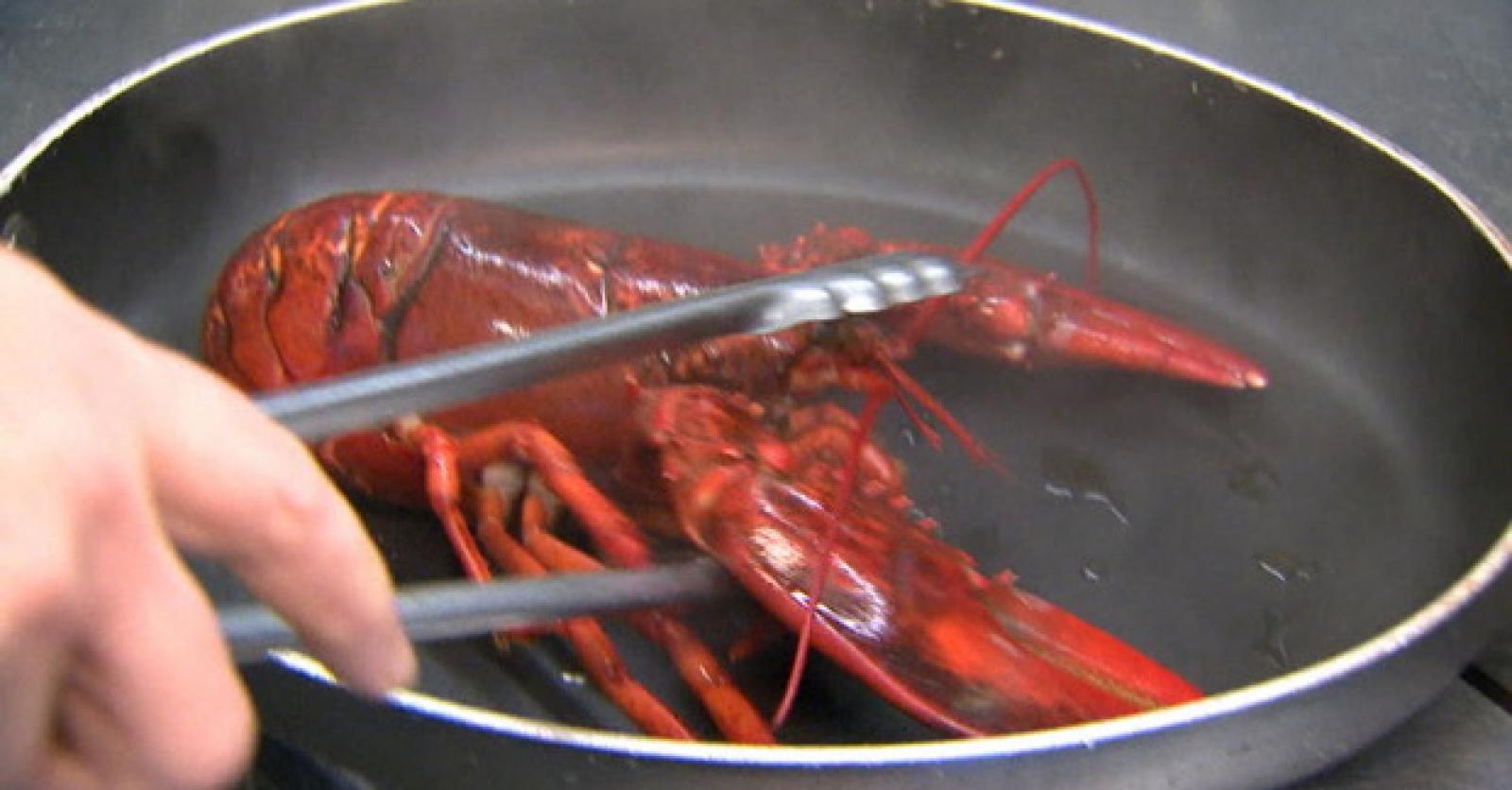 Zwitserland verbiedt levend koken kreeften