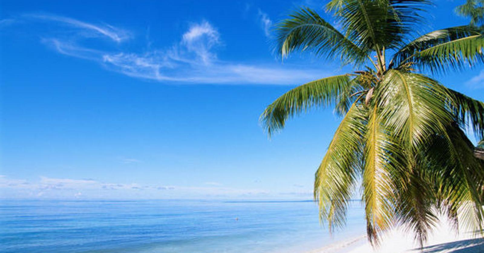 Hoe maak je mooie foto's op het strand?