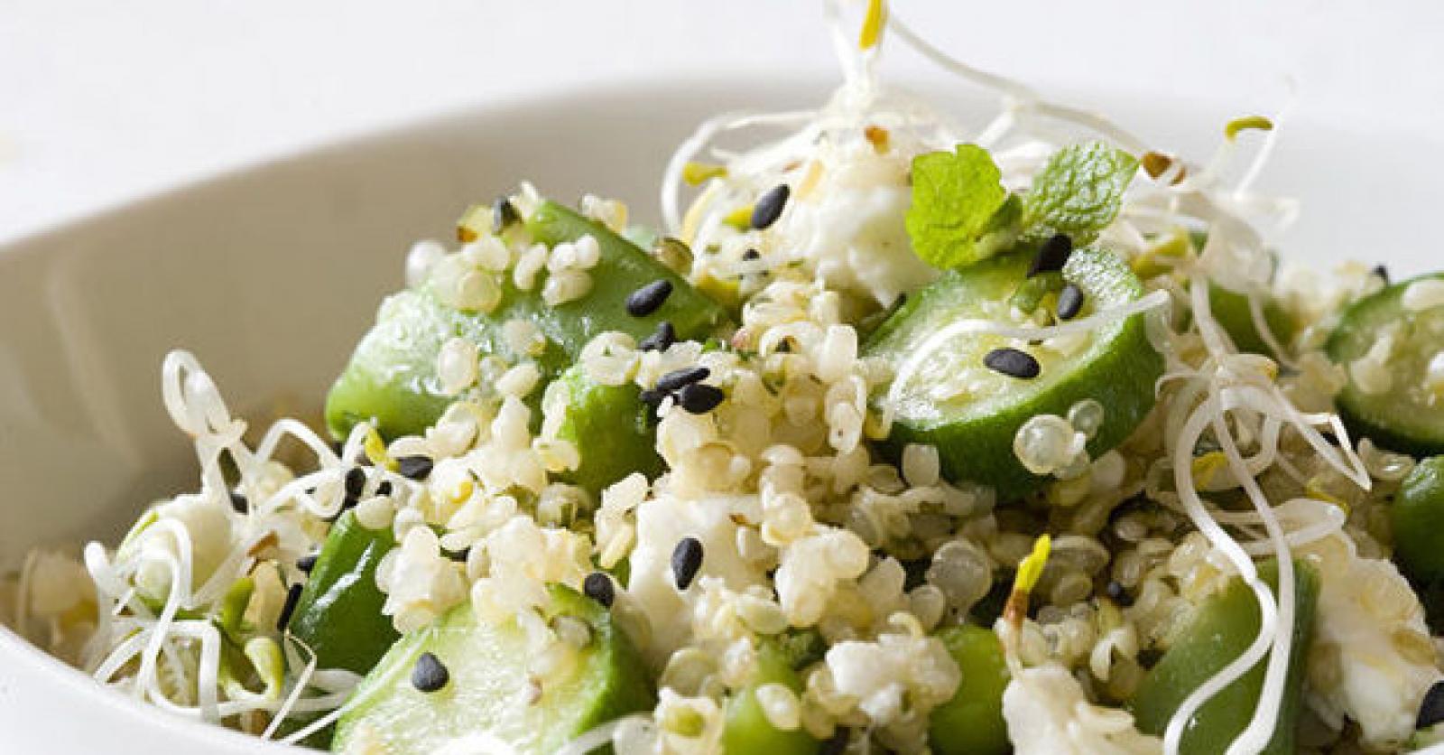 Binnenkort kunnen we de eerste Belgische quinoa eten