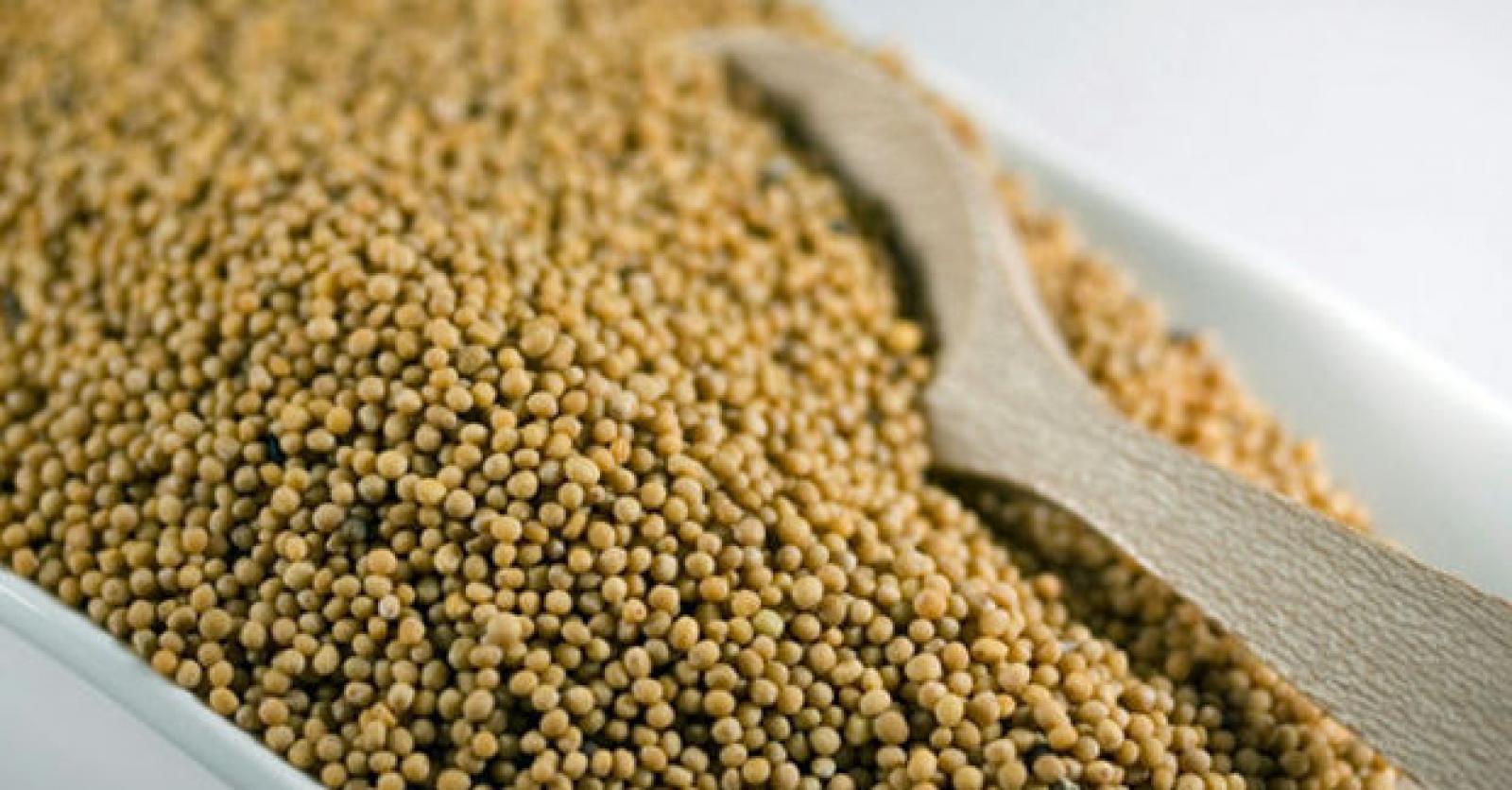 Creatief met mosterd