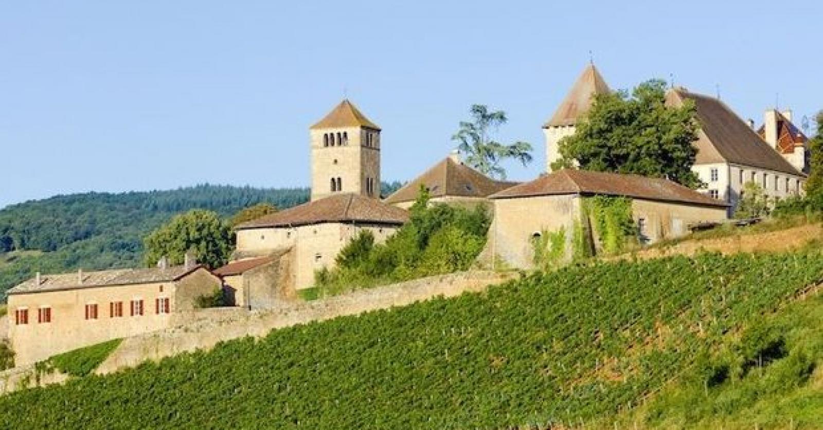 Wijntoerisme in Bourgogne
