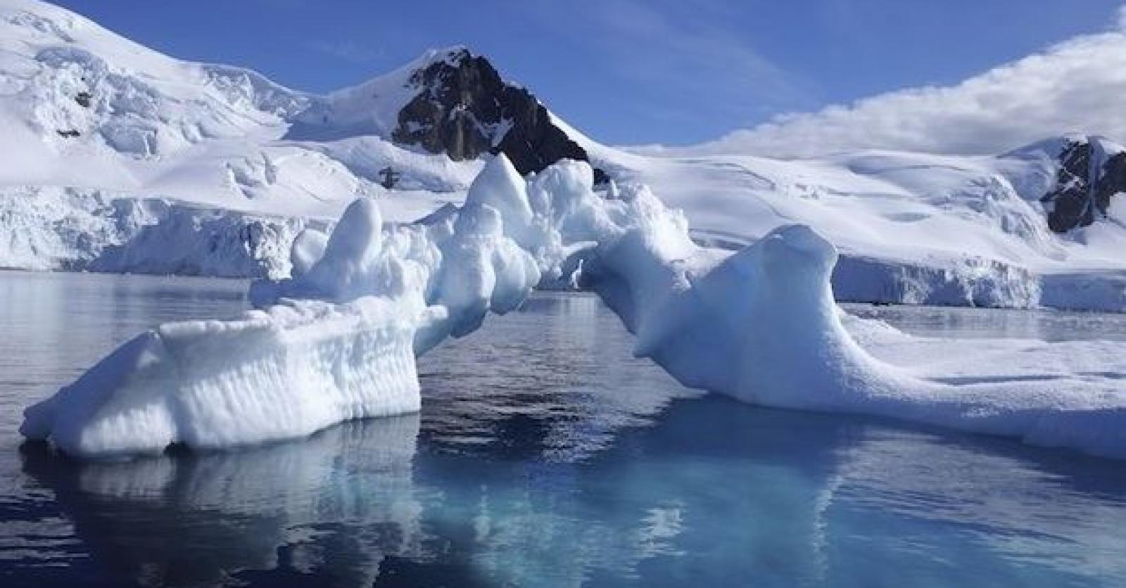 Ontdek de Noord- en Zuidpool in het Planetarium