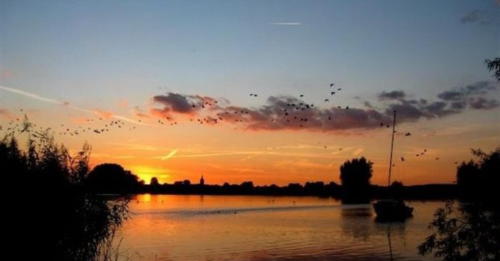 Kamperen in de Nederlandse natuur