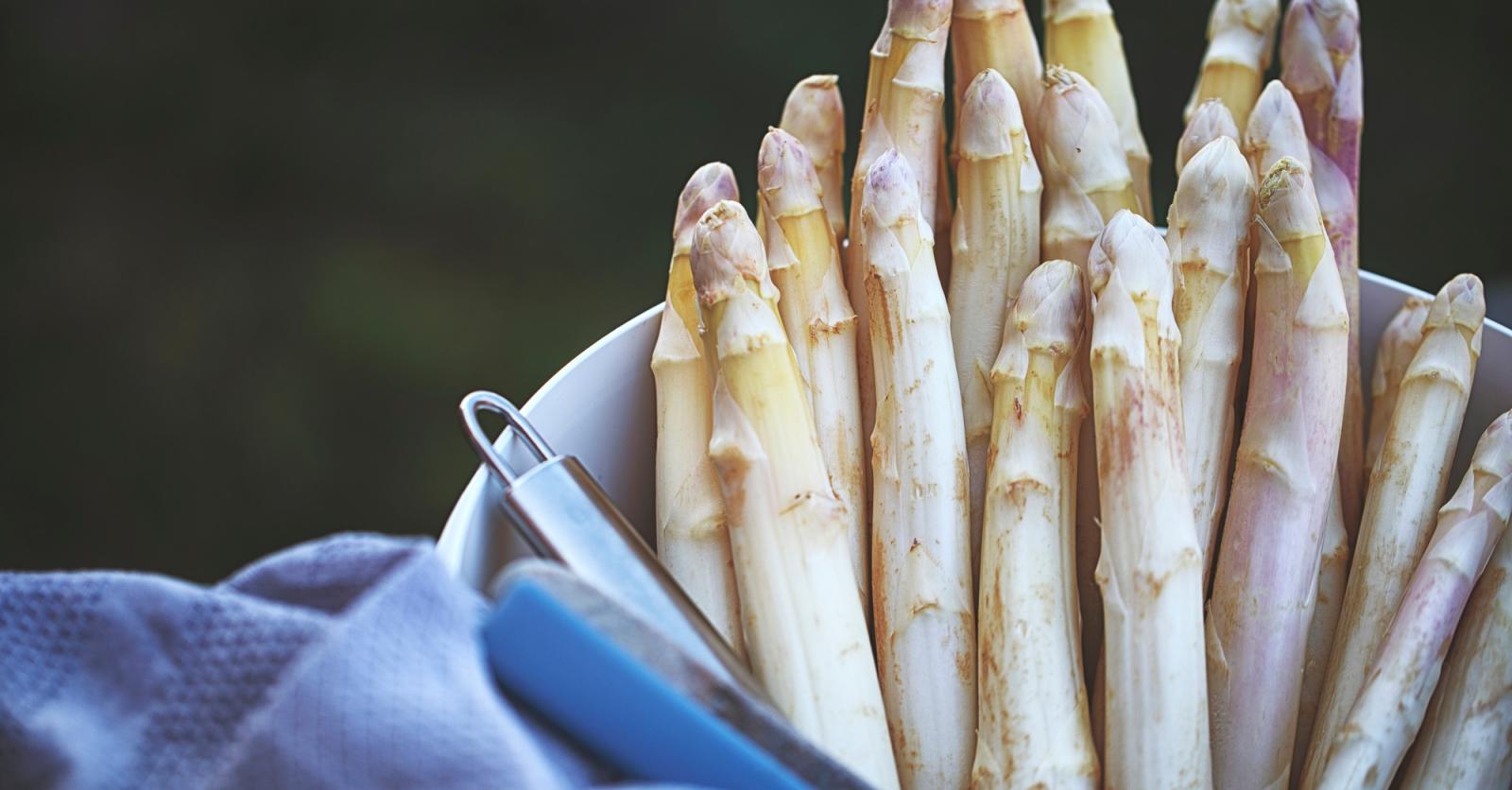 Van de langste ooit tot het geluid dat ze maken: 10 feiten over asperges