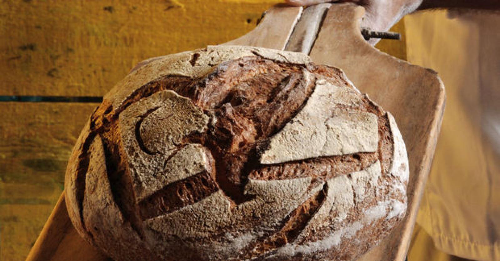 Sociale bakkerij La Fourna (Brussel): brood brengt mensen samen