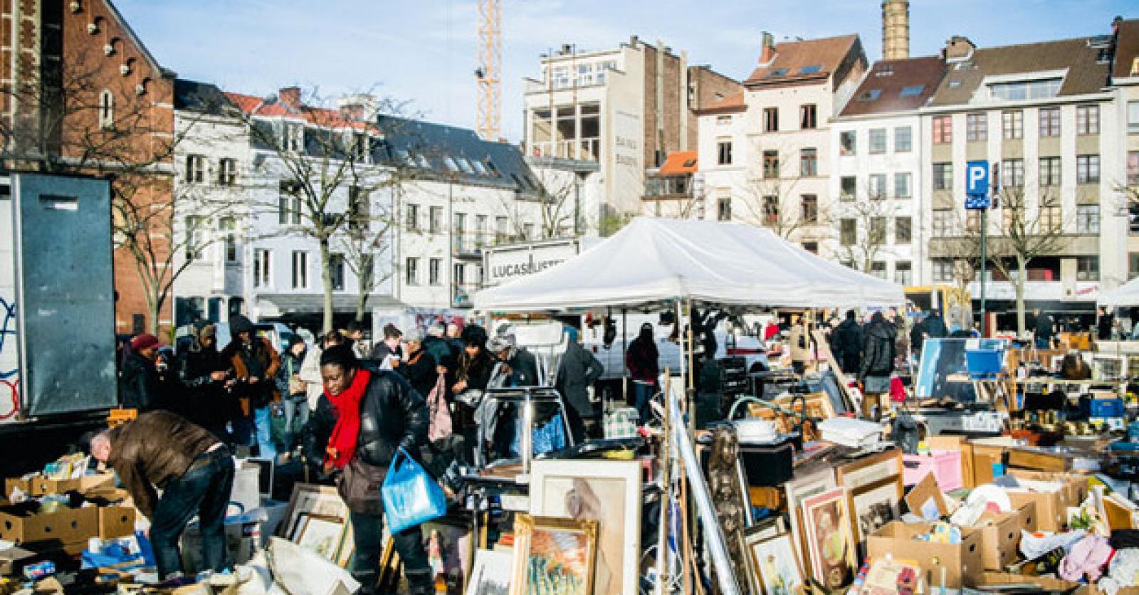 DE TWEEDE JEUGD VAN DE MAROLLEN
