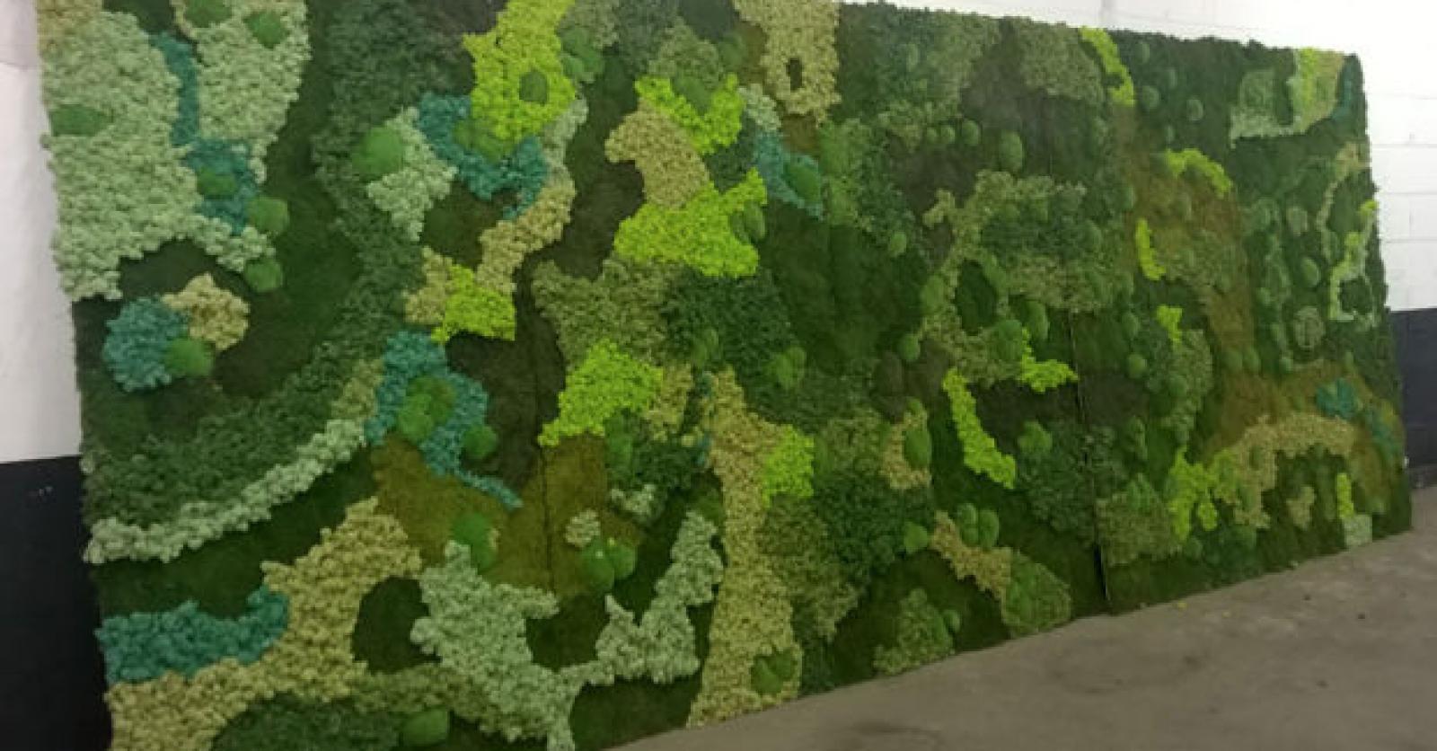 Mos zoekt muur: kunstwerk Gentse Floraliën op zoek naar nieuwe eigenaar