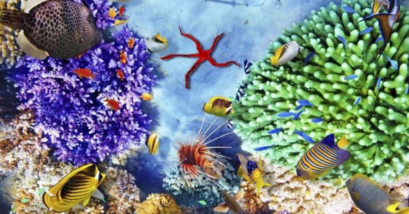 Eiland herstelt dood koraal met 3D-printer