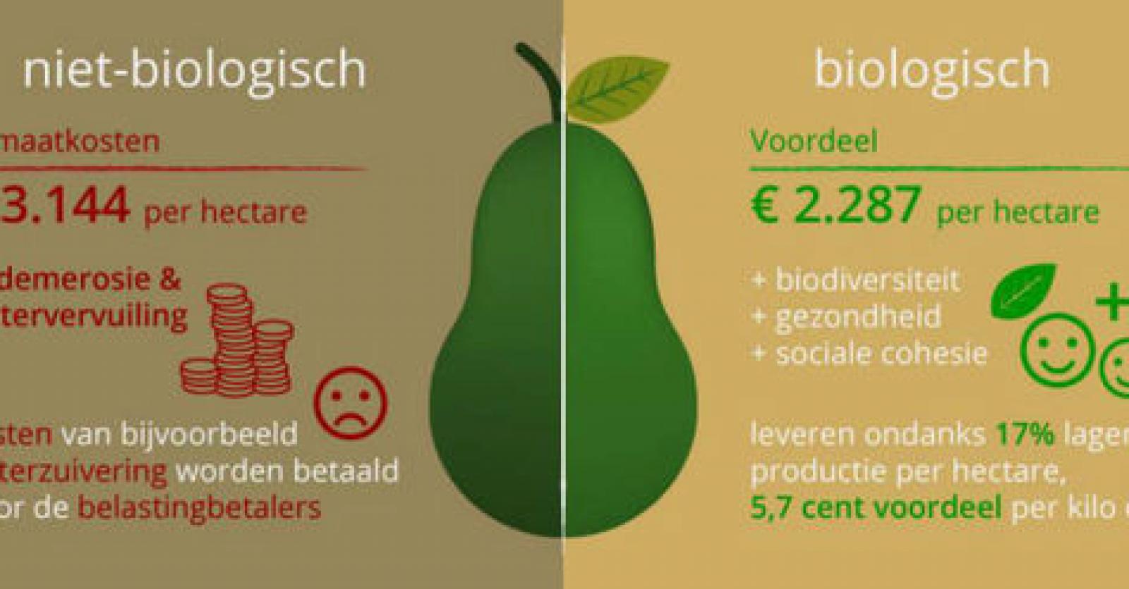 Europese winkels onthullen werkelijke kost van groenten en fruit