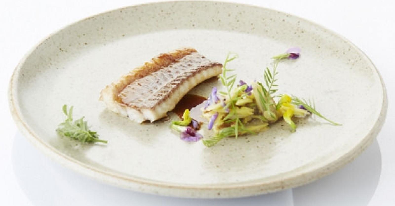 Vis van de week: Hondshaai, een zeer lekker visje en uitstekend ...