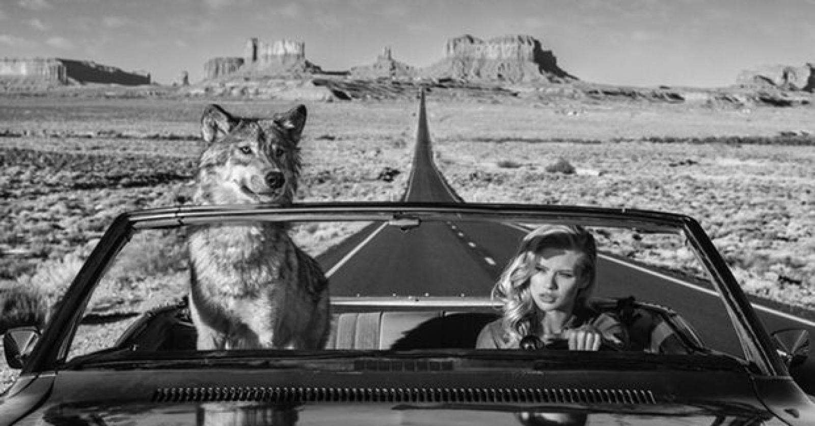 David Yarrow: 'Het stoort me als mensen me louter als wildlifefotograaf ...