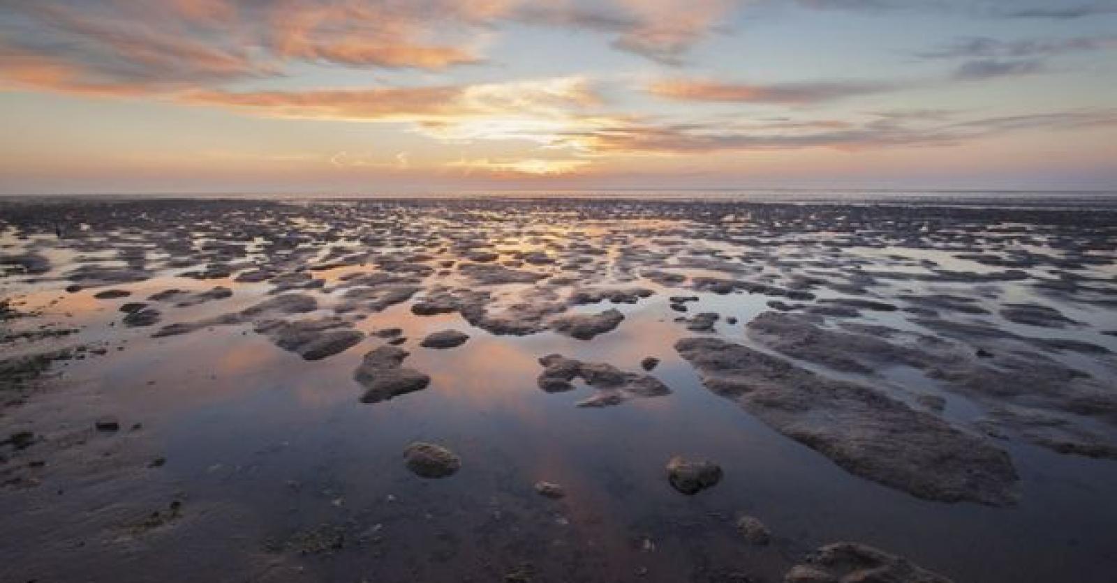 Het Waddengebied dreigt te verdrinken