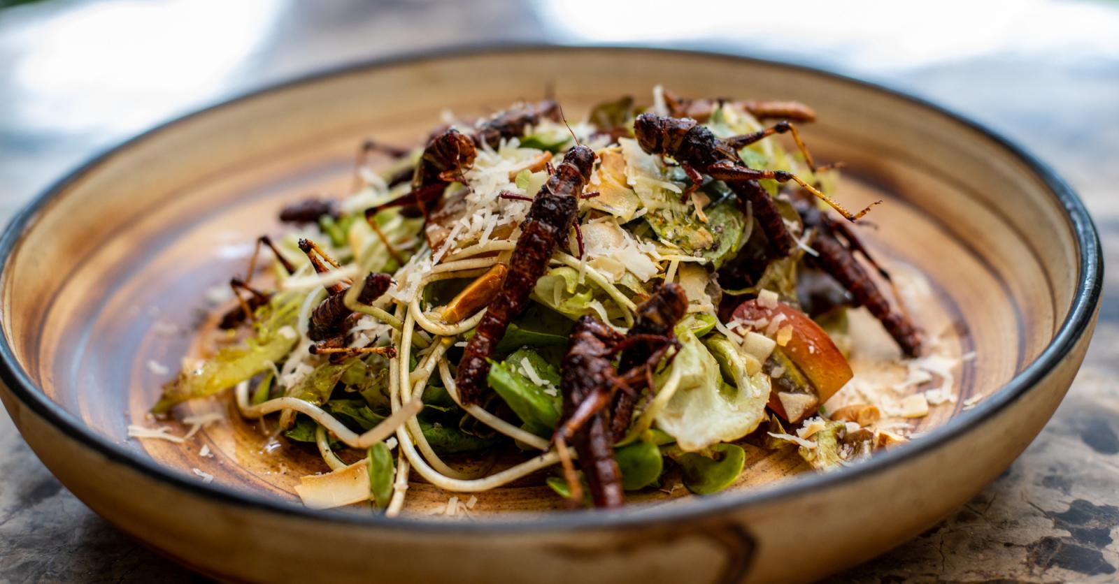 'Insecten eten wordt cruciaal in strijd tegen honger'