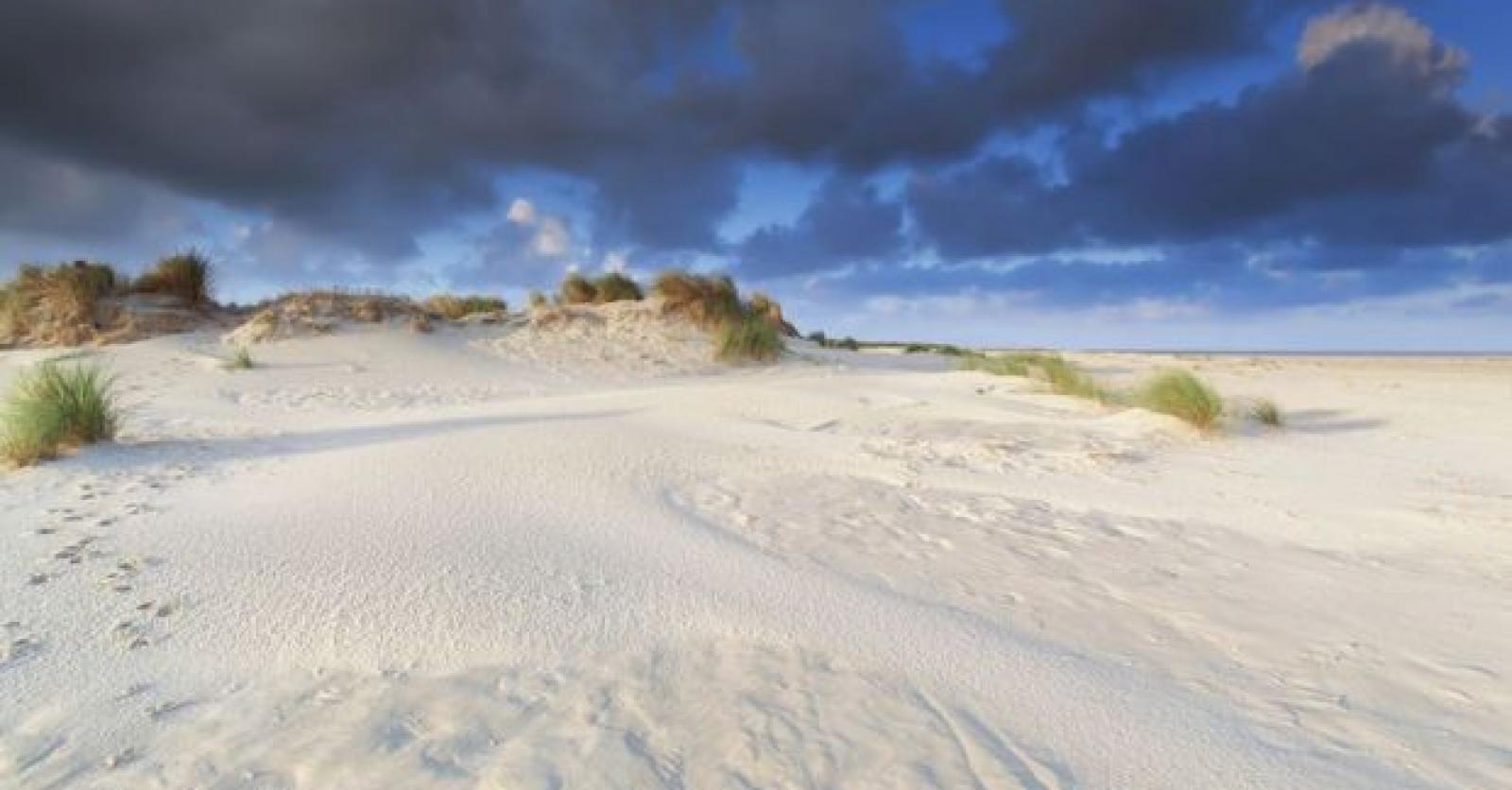 Dit zijn de mooiste natuurgebieden in Nederland